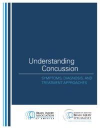 Understanding Concussion Symptoms, Diagnosis, and Treatment Certificate ...